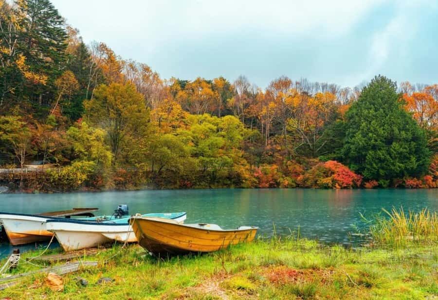 From Tokyo: Nikko One-Day Private Tour - Who Is This Tour Best For?