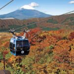 From Tokyo: Nikko Private Customizable Tour With Guide - Exploring the Charm of Nikko
