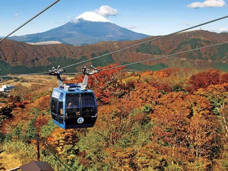 From Tokyo: Nikko Private Customizable Tour With Guide - Exploring the Charm of Nikko