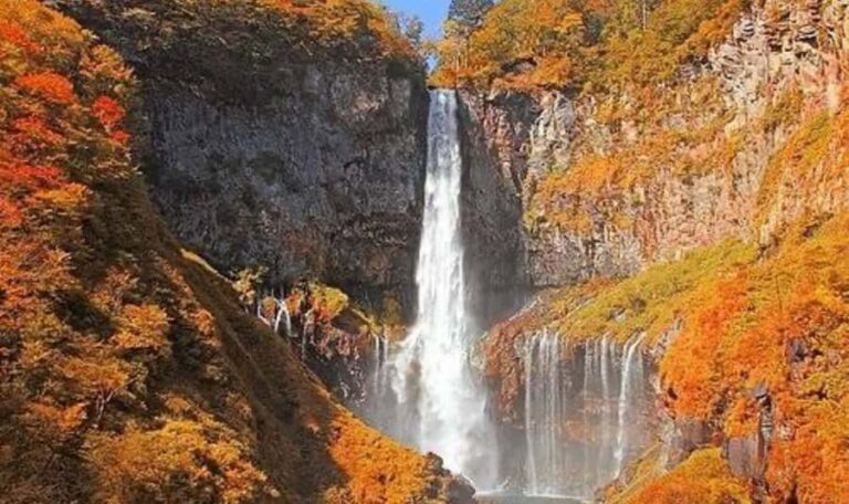 From Tokyo: Nikko Private Tour with English-Speaking Guide - What to Expect from the Tour