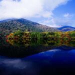 From Tokyo: Nikko Private Tour with Kegon Falls - Detailed Breakdown of the Itinerary