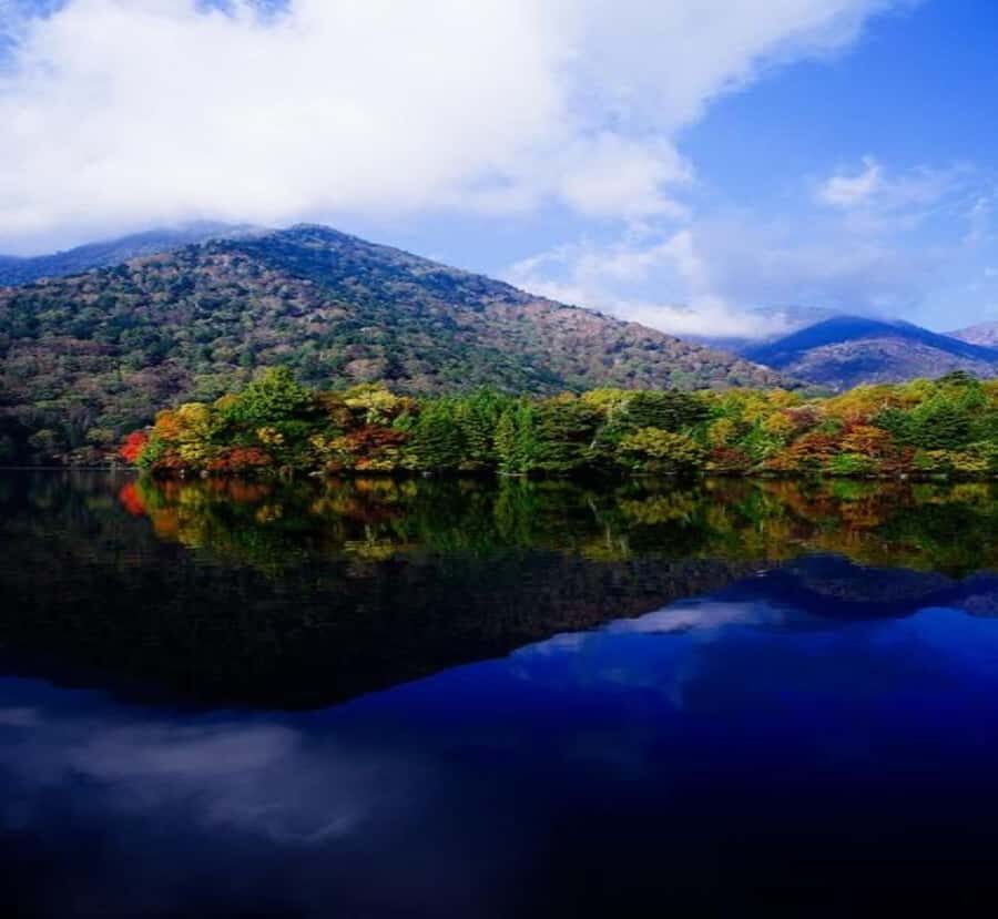 From Tokyo: Nikko Private Tour with Kegon Falls - Detailed Breakdown of the Itinerary