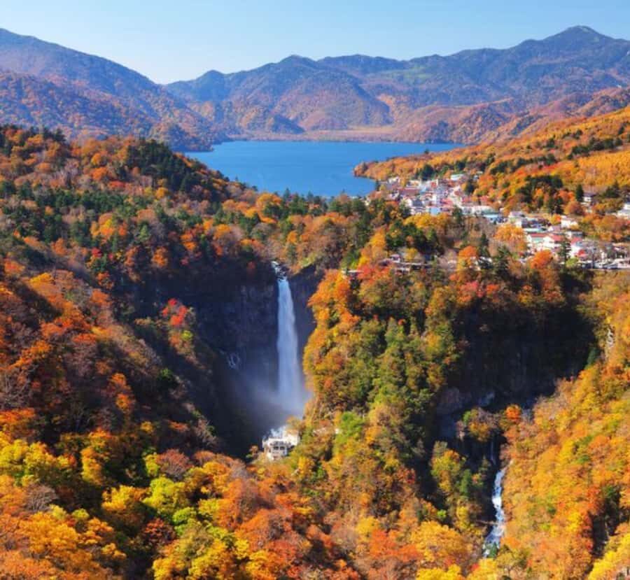 From Tokyo: Nikko Private Tour with Toshogu Shrine & Falls - FAQ