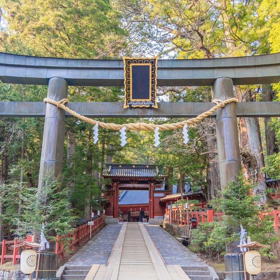 From Tokyo: Nikko Private Tour with Toshogu Shrine & Falls - Analyzing the Value
