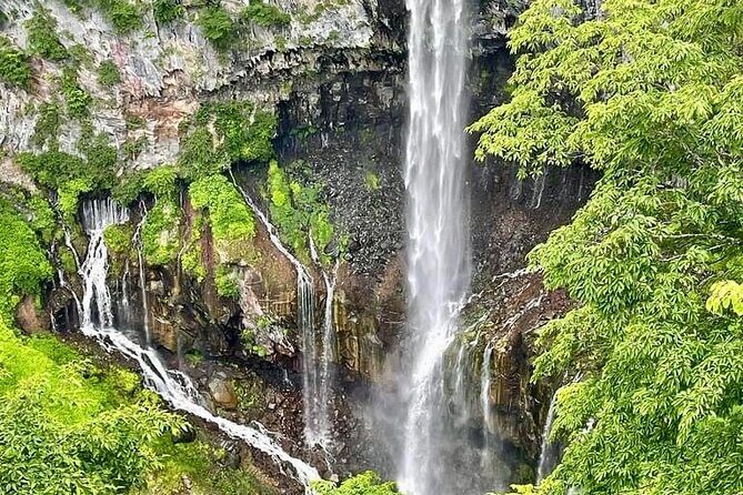 From Tokyo: Nikko Sightseeing Customized Private Tour - What Travelers Love and What to Consider