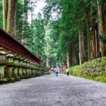 From Tokyo: Nikko Unesco World Heritage Private Guided Tour - Transportation and Timing