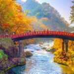 From Tokyo: Nikko World Heritage Customizable Private Tour - The Value of a Private, Customizable Experience