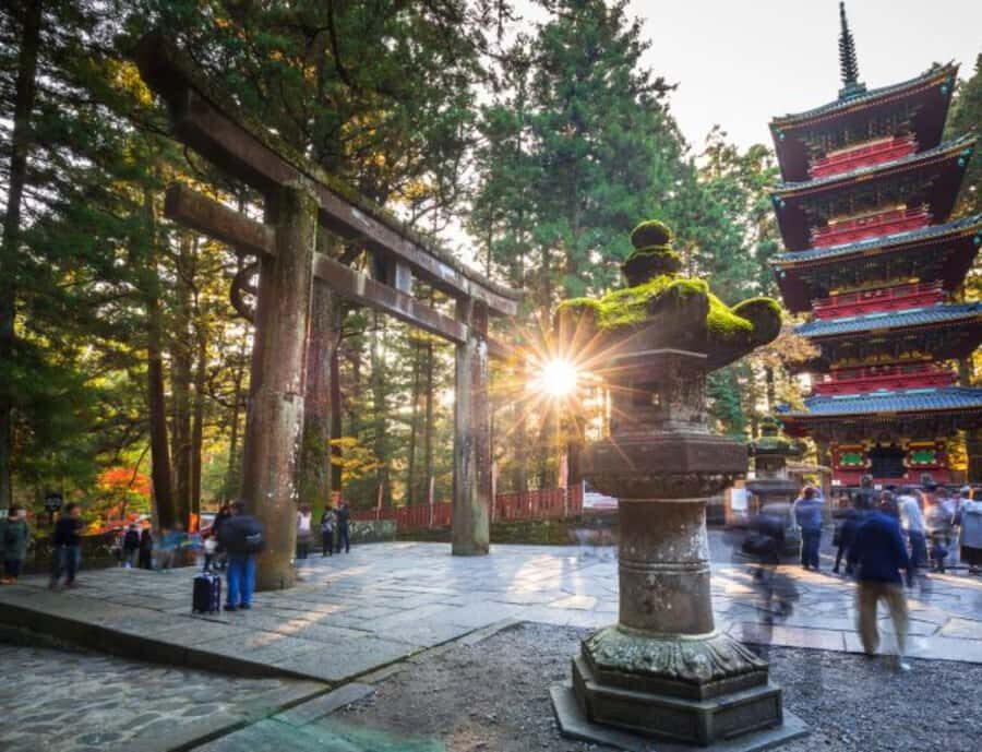 From Tokyo: Nikko World Heritage Private Tour with Guide - The Expert Guide: Knowledgeable and Attentive