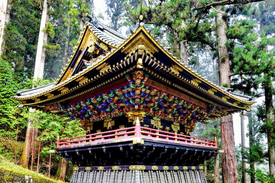 From Tokyo: Nikko World Heritage Sight Full Day Private Tour - Why This Tour Works for Travelers