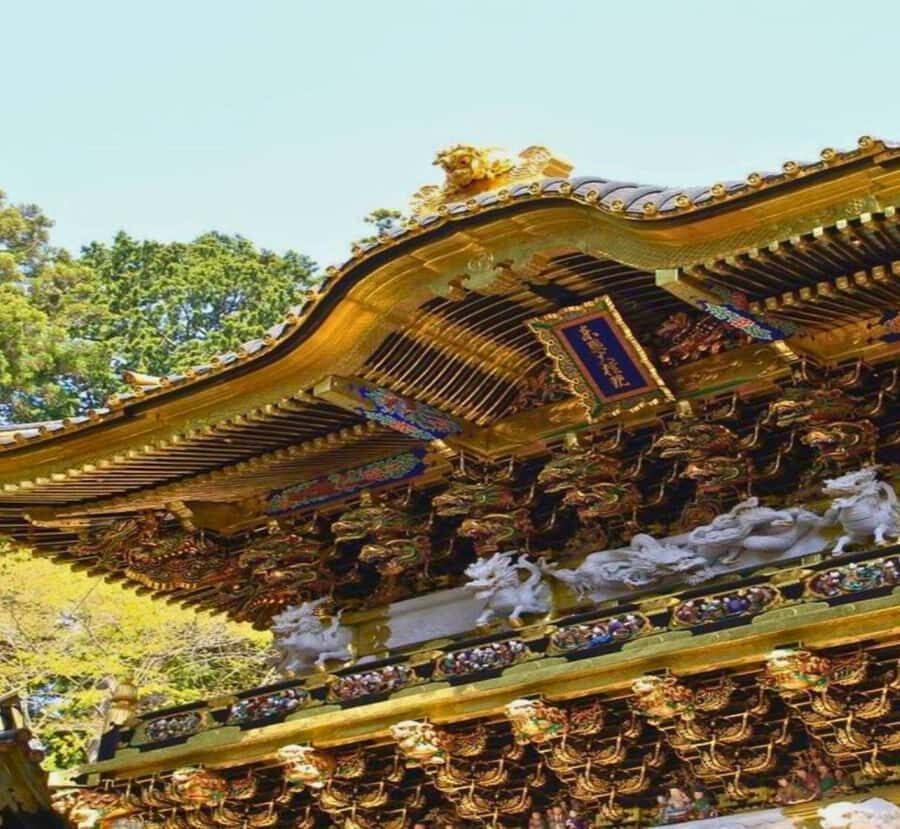 From Tokyo: Nikko World Heritage Site Private Day Trip - The Practicalities: What You Need to Know