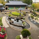From Tokyo: Omiya Bonsai Village Tour with Licensed Guide - The Sum Up