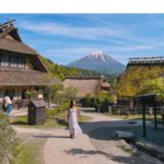From Tokyo: Private Mount Fuji & Hakone Custom Day Tour - What Travelers Say