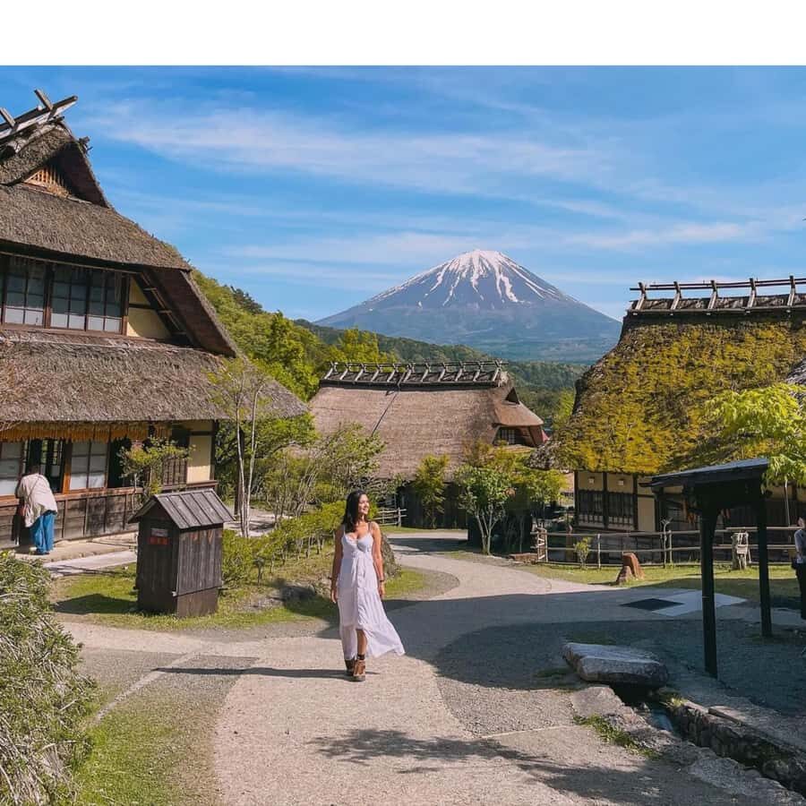From Tokyo: Private Mount Fuji & Hakone Custom Day Tour - What Travelers Say