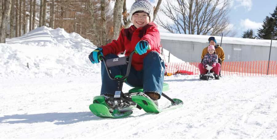 From Tokyo: Ski DayTrip with Gears & Wears to Hodaigi - Who Will Appreciate This Trip?