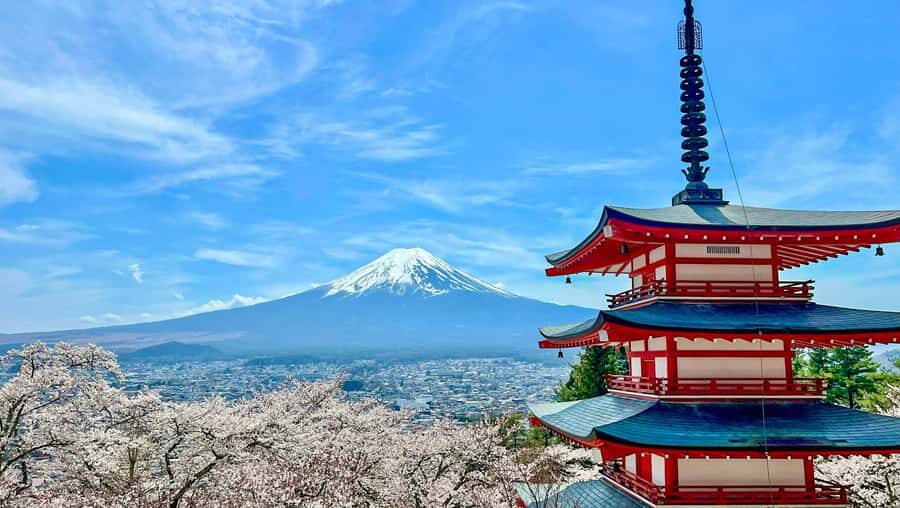 From Tokyo: Tailor-Made Fuji Private Tour: Culture & Views - A Full Breakdown of the Private Tour Experience
