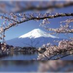 From Tokyo to the Clouds:A Private customize Mount Fuji Tour - Key Points