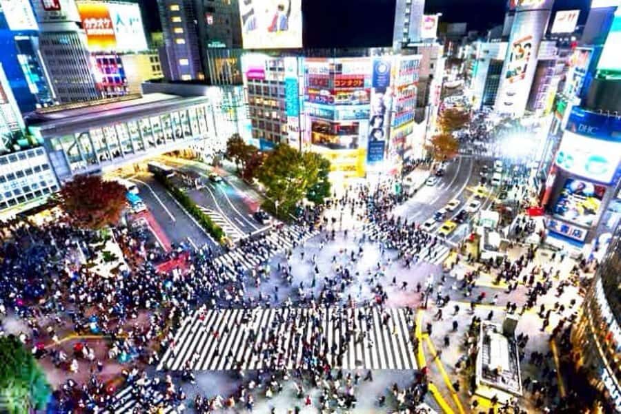 From Tokyo: Tokyo Full Day private Tour With English Driver - What Makes This Tour Stand Out?