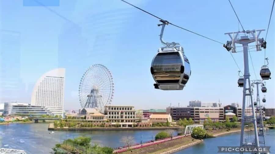 From Tokyo: Yokohama and Tokyo Private Day Tour with Guide - Why This Tour Offers Great Value