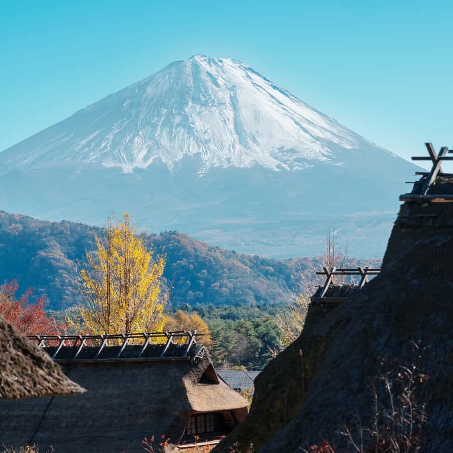 From Tokyo:Mount Fuji Full Customize Tour With English Guide - An In-Depth Look at the Tour Experience