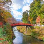 From Tokyo:Nikko World Heritage Customizable Tour with Guide - Who Will Love This Tour?