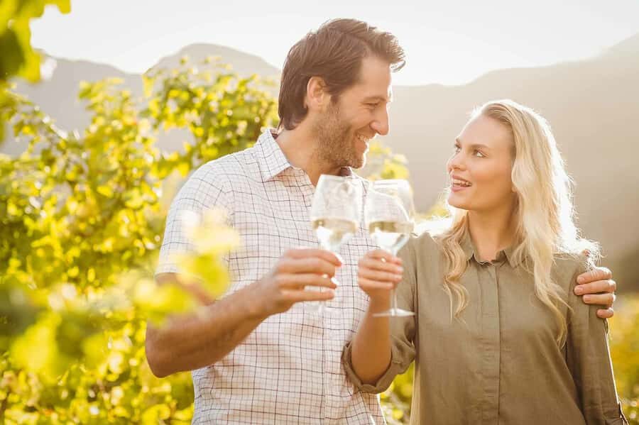 From Toronto: Niagara Falls Private Sightseeing Tour - Who Will Love This Tour?