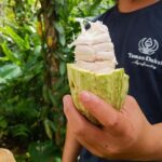 From Ubud: Balinese Cooking Class & Organic Farm Tour - Farm Tour: Where Food Begins