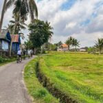 From Ubud: Downhill Bike Tour with Rice Terraces and Meal - Final Thoughts: Is It Worth It?