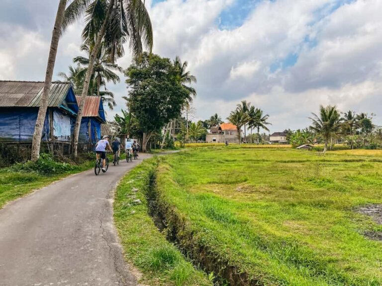 From Ubud: Downhill Bike Tour with Rice Terraces and Meal - Final Thoughts: Is It Worth It?