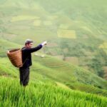 From Ubud: Evening Firefly Tour in Taro Village - The Sum Up