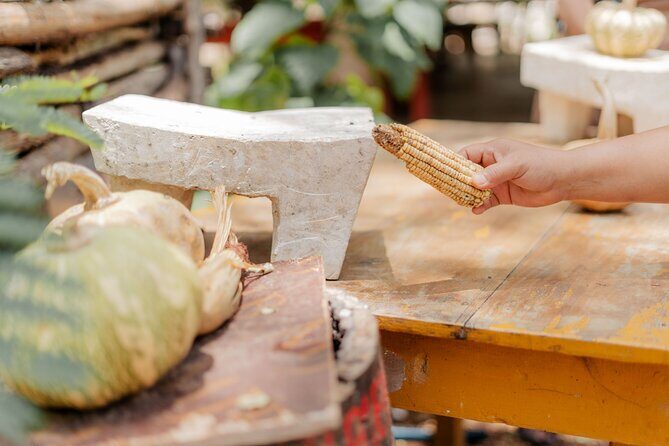 From Valladolid: Authentic Mayan Cooking Class - The Itinerary in Detail