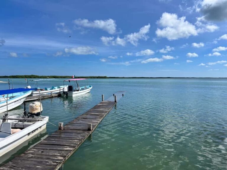 From Valladolid: Flamingo Tour, Rio Lagartos, Las Coloradas, Cenote + Lunch - Practical Details and What to Pack