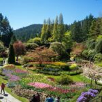 From Vancouver: Butchart Gardens & Victoria Sightseeing Tour - Overview of the Tour Experience
