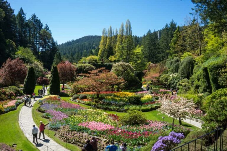 From Vancouver: Butchart Gardens & Victoria Sightseeing Tour - Overview of the Tour Experience