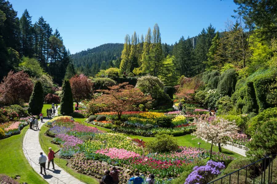 From Vancouver: Butchart Gardens & Victoria Sightseeing Tour - Overview of the Tour Experience