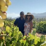 From Vine to Glass in Bajas Beautiful Valleys - Who Will Love This Experience?