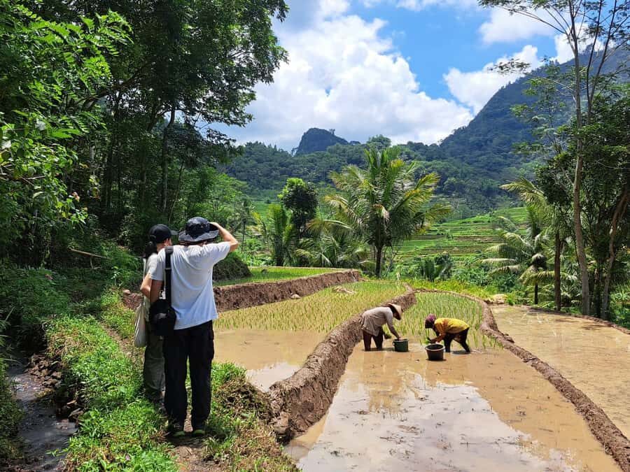 From Yogyakarta: Hidden Waterfall & Selogriyo Rice Terraces - Itinerary Breakdown: What You’ll Experience