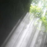 From Yogyakarta: Jomblang Cave Day Tour No Hidden Cost - What Makes This Tour Special?