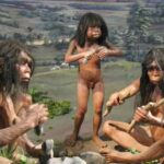 From Yogyakarta: Sangiran Museum and Early Man Site Tour - Evaluating the Value