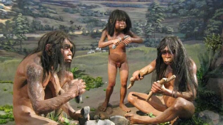 From Yogyakarta: Sangiran Museum and Early Man Site Tour - Evaluating the Value
