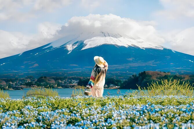 From Yokohama Port Arakurayama & G. Outlets 10 Hour Private Tour - Lunch and Flexibility