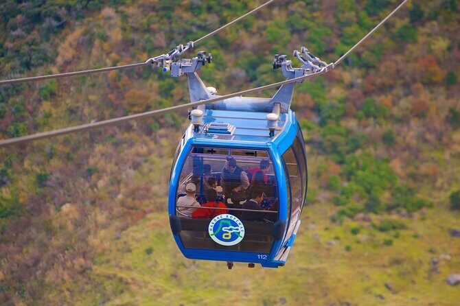 From Yokohama Port Hakone Ropeway & Lake Ashi 10Hour Private Tour - Who Will Love This Tour?