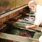 Fugu Experience Tour Learn and Taste Japans Pufferfish Cuisine - FAQ