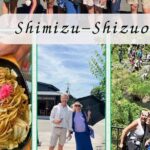 Fuji Area Cultural Highlights Day Tour from Shimizu Port by Car - Who Will Love This Tour?