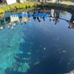 Fuji Yamanaka Lake. Oshino Hakkai and Local Noodles - Visiting the Temple Overlooking Mount Fuji