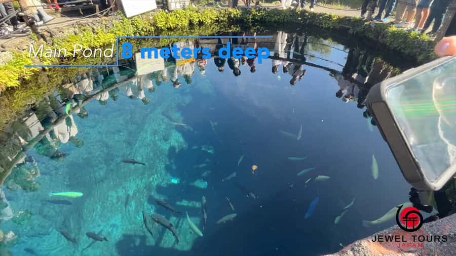 Fuji Yamanaka Lake. Oshino Hakkai and Local Noodles - Visiting the Temple Overlooking Mount Fuji