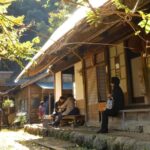 Fujieda: Suisha-mura Traditional Japanese Cooking Experience - Practicalities and Value