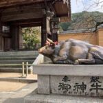 Fukuoka: Dazaifu Shrine, Ohori Park, and Castle Tour - A Closer Look at the Itinerary