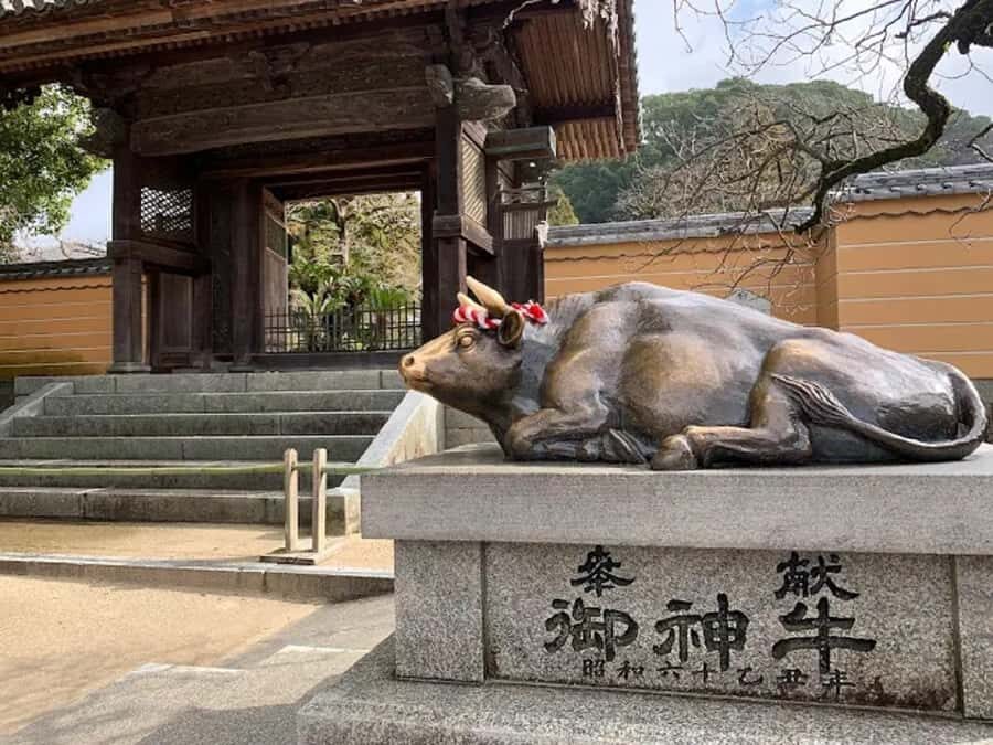 Fukuoka: Dazaifu Shrine, Ohori Park, and Castle Tour - A Closer Look at the Itinerary