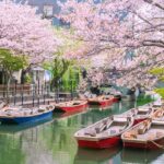 Fukuoka: Dazaifu, Yanagawa River Cruise & Strawberry Picking - Authenticity and Value: What Travelers Say