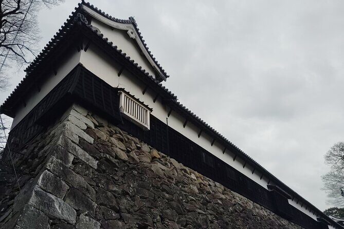 Fukuoka: Fukuoka Castle and Ohori Park Guided Tour - What Makes This Tour Stand Out?